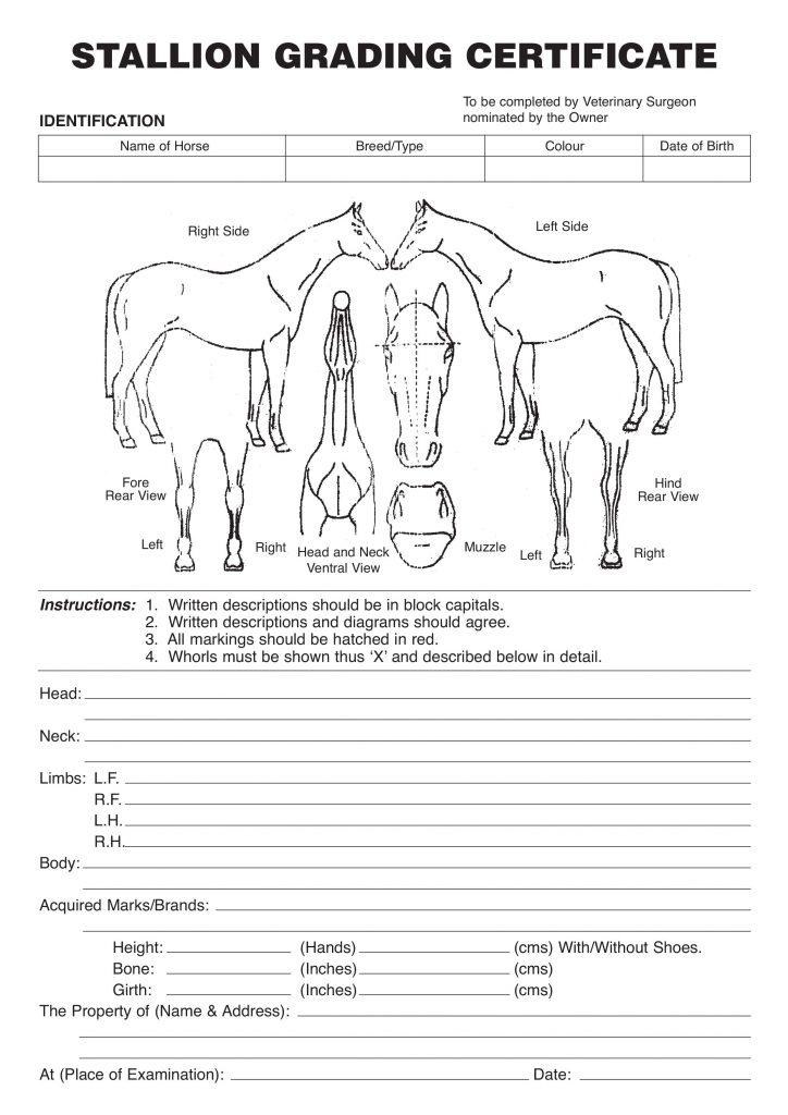 Grading - British Skewbald & Piebald Association